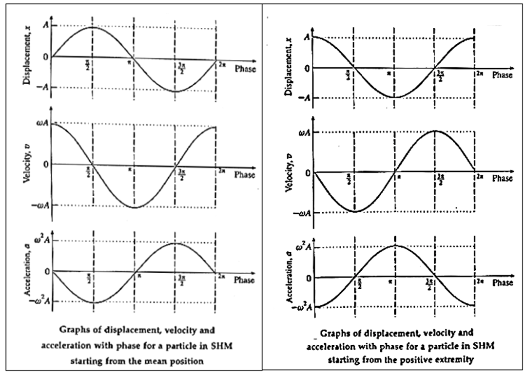 Solutions-Class-12-Physics-Chapter-5-Oscillations-MSBSHSE - KitabCd Academy