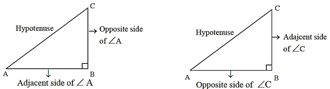 Notes-Class-9-Mathematics-2-Chapter-8-Trigonometry-Maharashtra Board ...