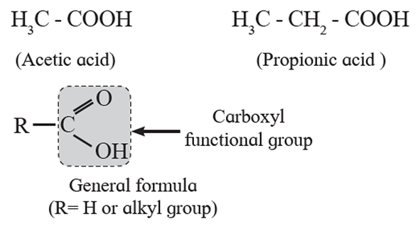Notes-Part-1-Class-12-Chemistry-Chapter-12-Aldehydes, Ketones and ...