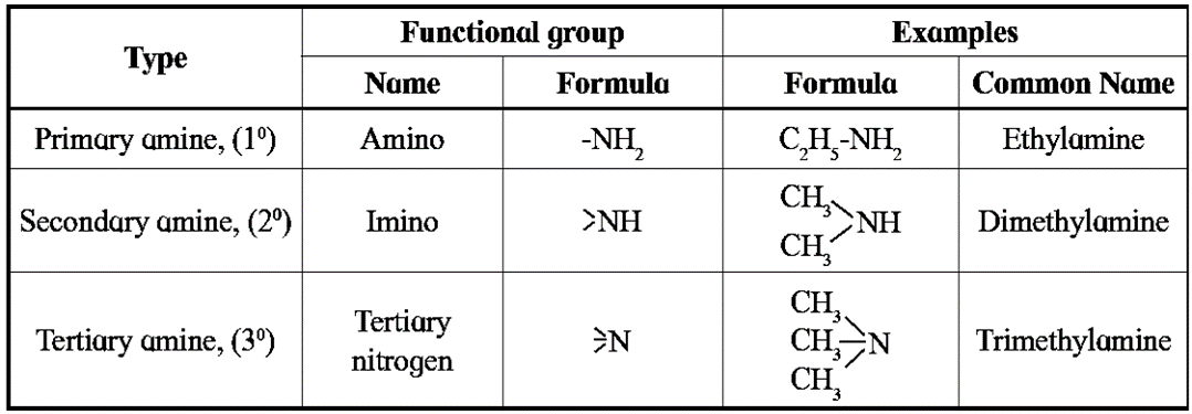 Notes-Part-1-Class-12-Chemistry-Chapter-13-Amines-Maharashtra Board ...