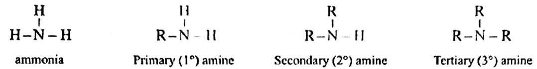 Solutions-Class-12-Chemistry-Chapter-13-Amines-Maharashtra Board ...
