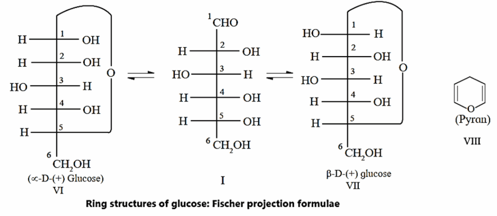 Notes-Part-1-Class-12-Chemistry-Chapter-14-Biomolecules-Maharashtra ...