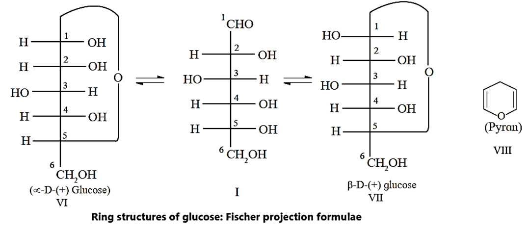 Notes-Part-1-Class-12-Chemistry-Chapter-14-Biomolecules-Maharashtra ...