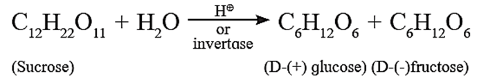Notes-Part-1-Class-12-Chemistry-Chapter-14-Biomolecules-Maharashtra ...