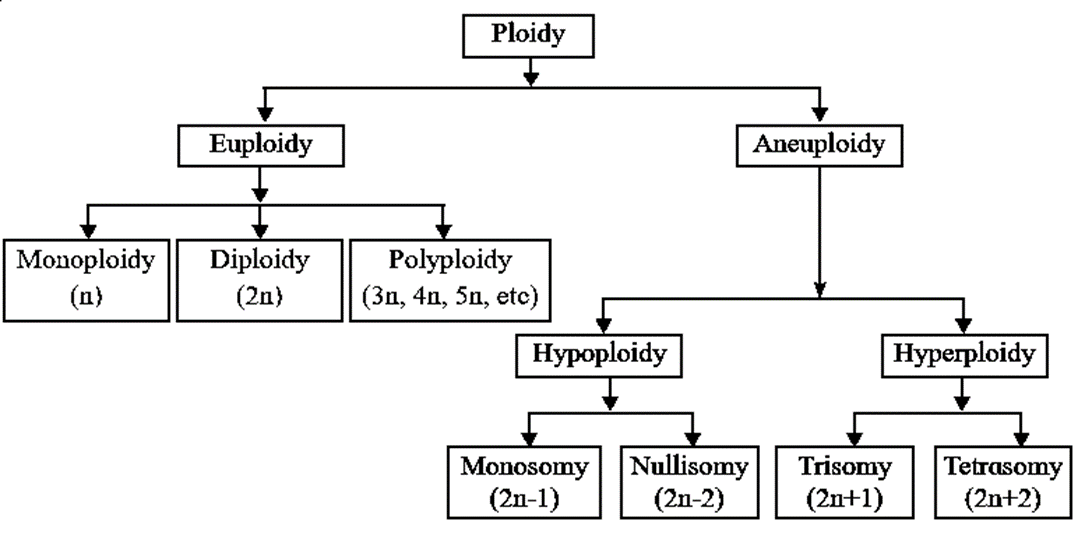 Notes-Class-12-Biology-Chapter-3-Inheritance and Variations-Maharashtra ...