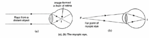Notes-NCERT-Class-10-Science-Chapter-10-Human Eye and Colourful World ...